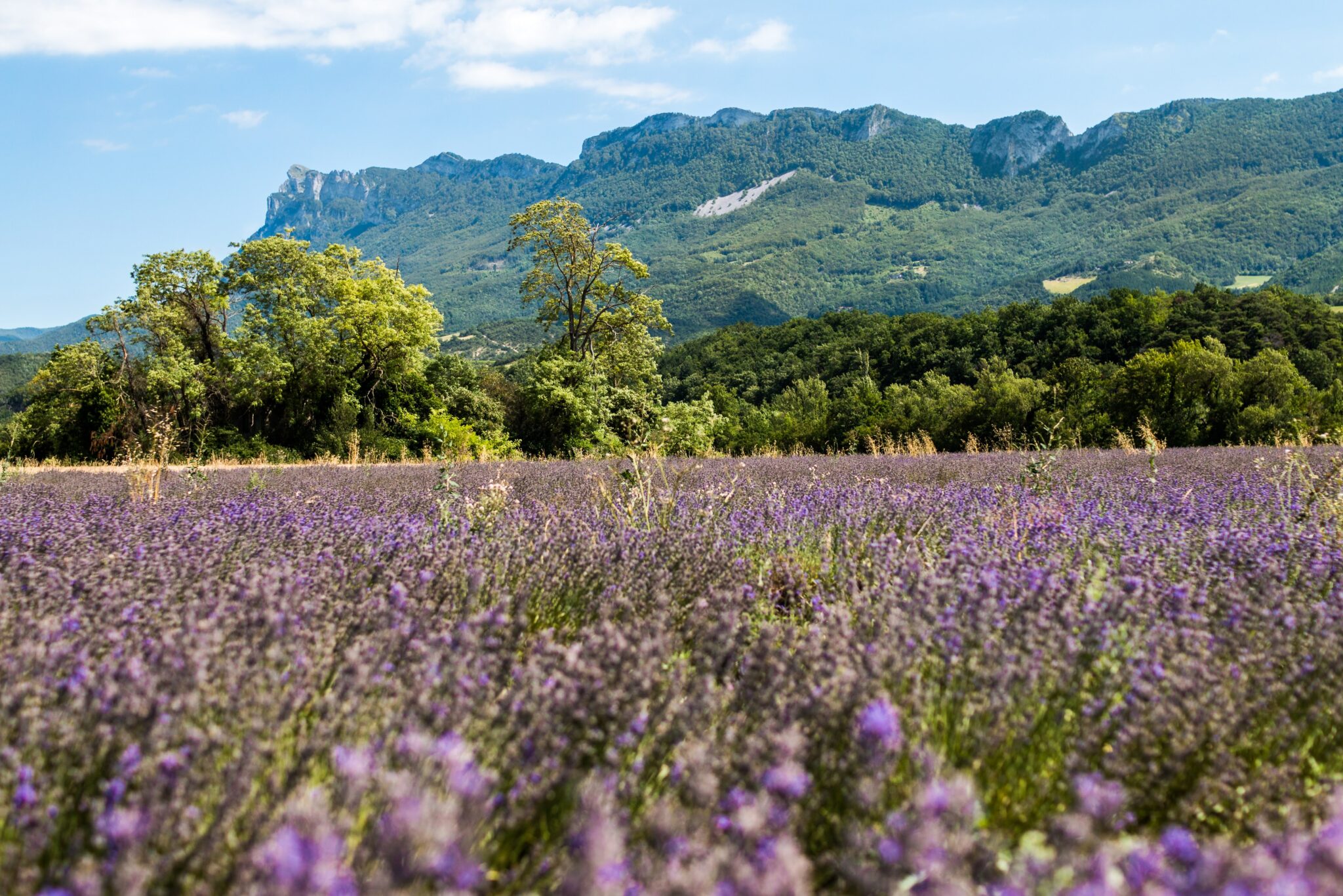 Ladrôme Laboratoire, l’entreprise pionnière du bio dans la Drôme